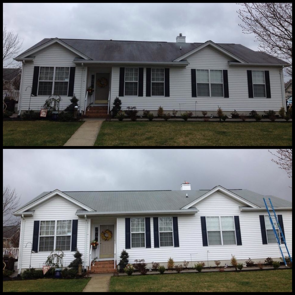 Soft Wash Roof Services in and Around Sea Girt, NJ